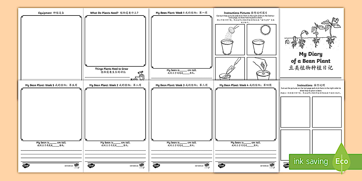 My Diary of a Bean Plant Activity - English/Mandarin Chinese