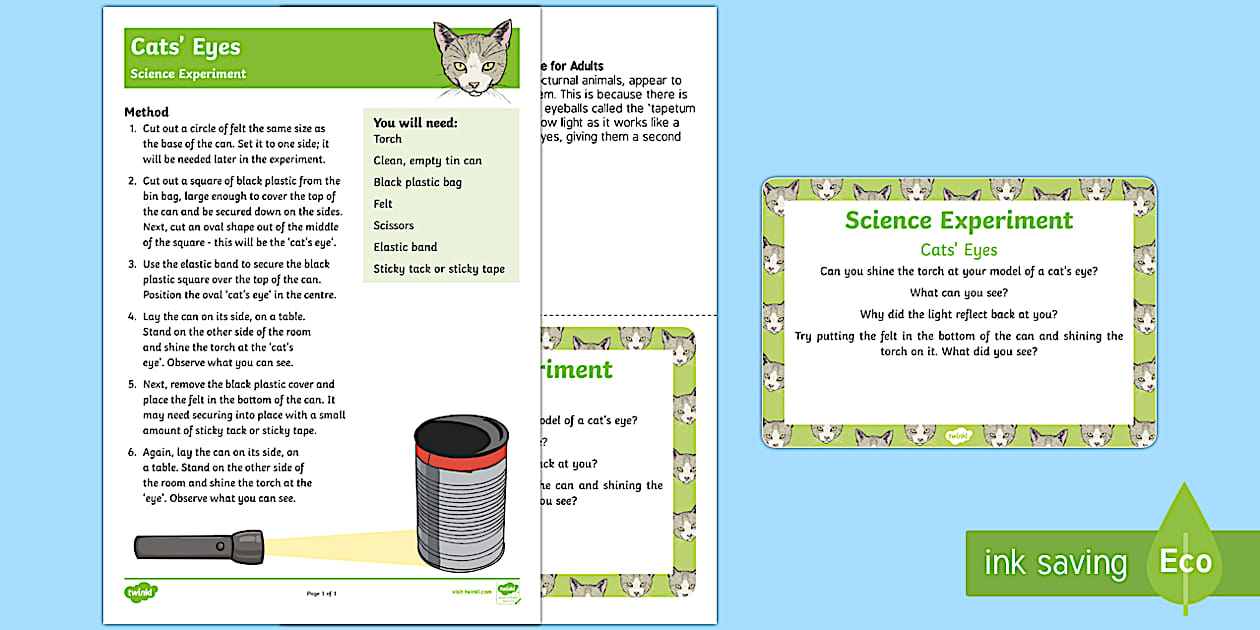Kindergarten Cats' Eyes Science Experiment and Prompt Card Pack