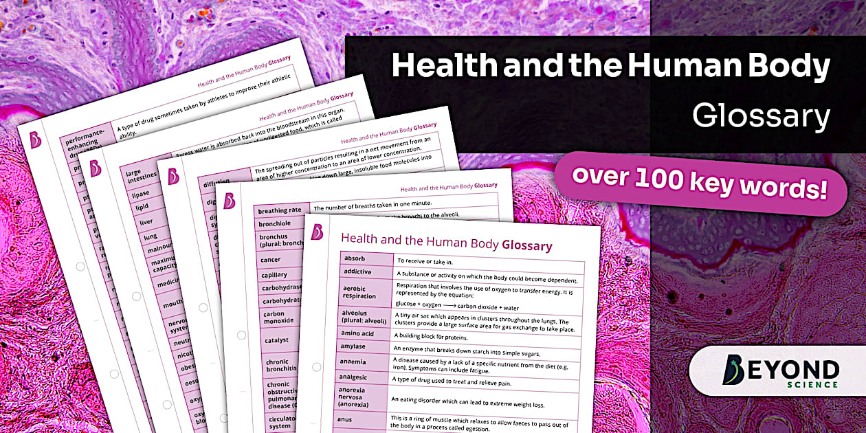 Health and the Human Body Glossary | KS3 Biology | Beyond