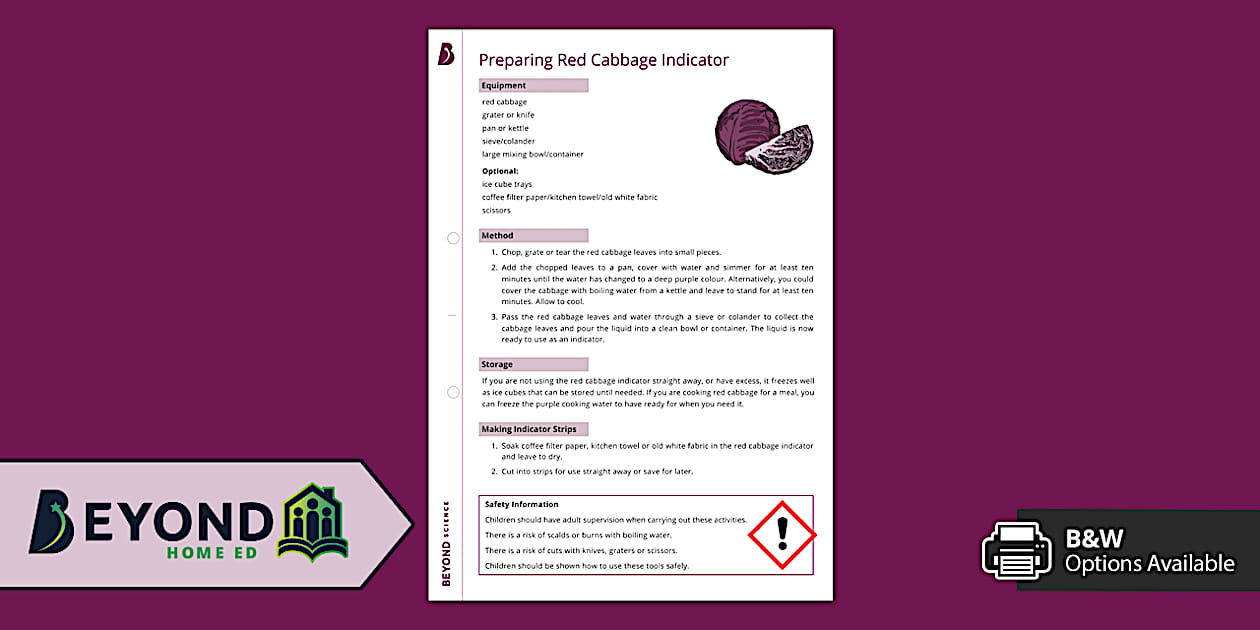 Red Cabbage Indicator | Science | Beyond Secondary - Twinkl