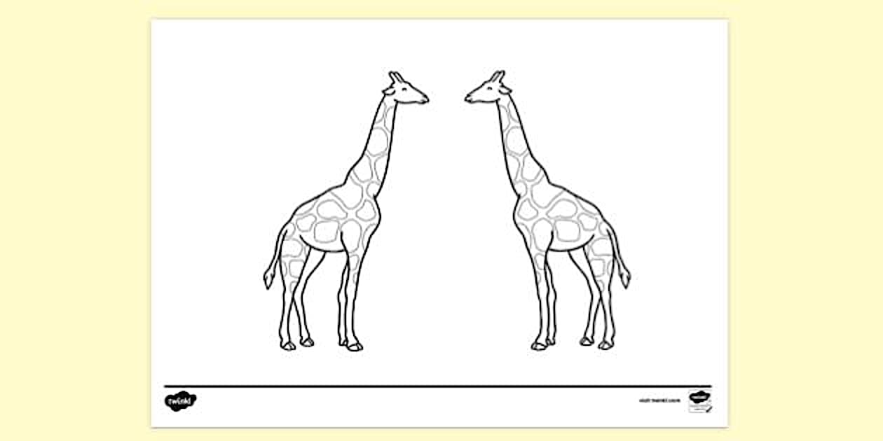 Pair of Giraffes Colouring | Colouring Sheets (teacher made)