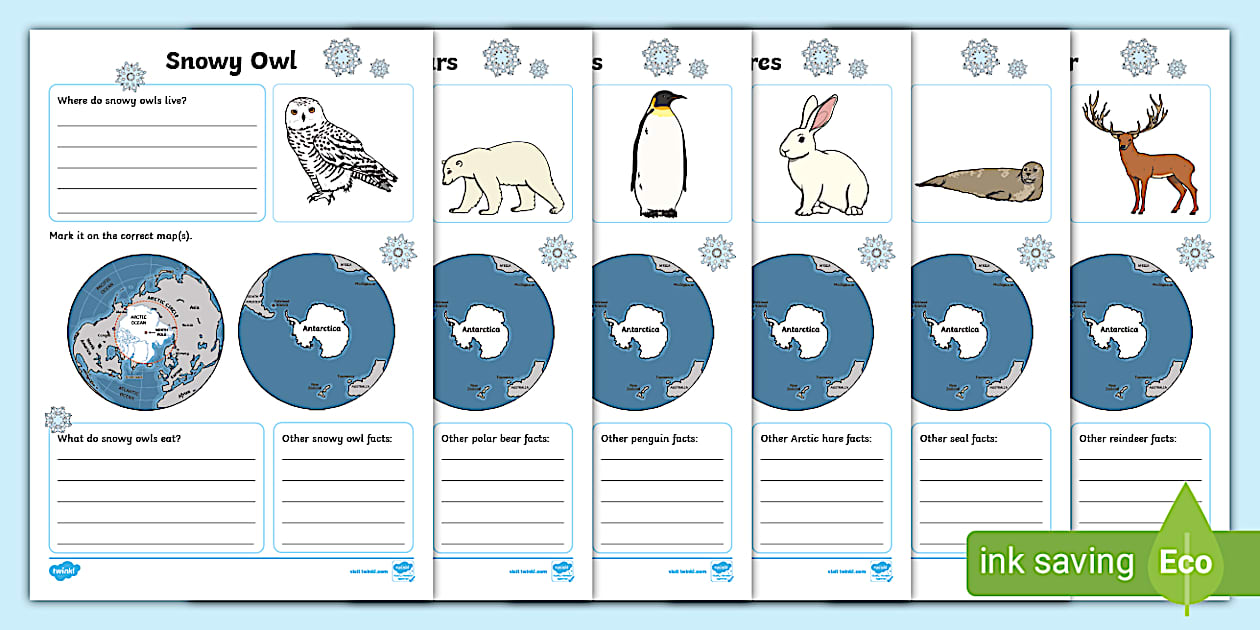 Editable Polar Animals Fact File Worksheets (teacher made)