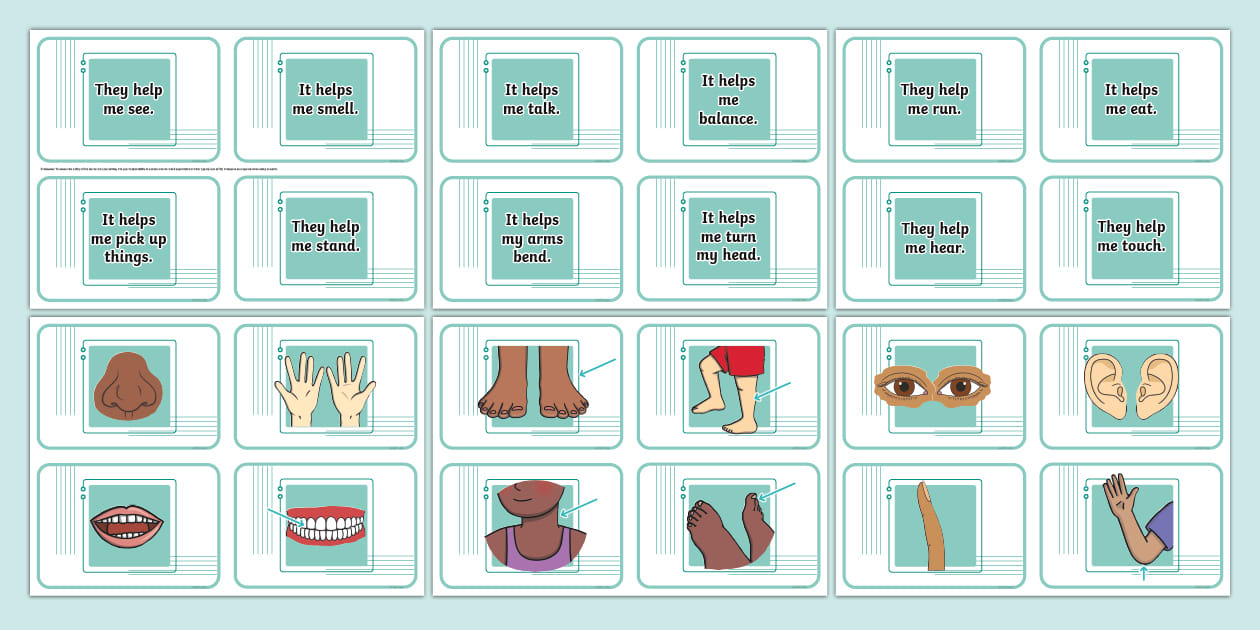 * NEW * Body Part Functions Matching Flashcards - Twinkl