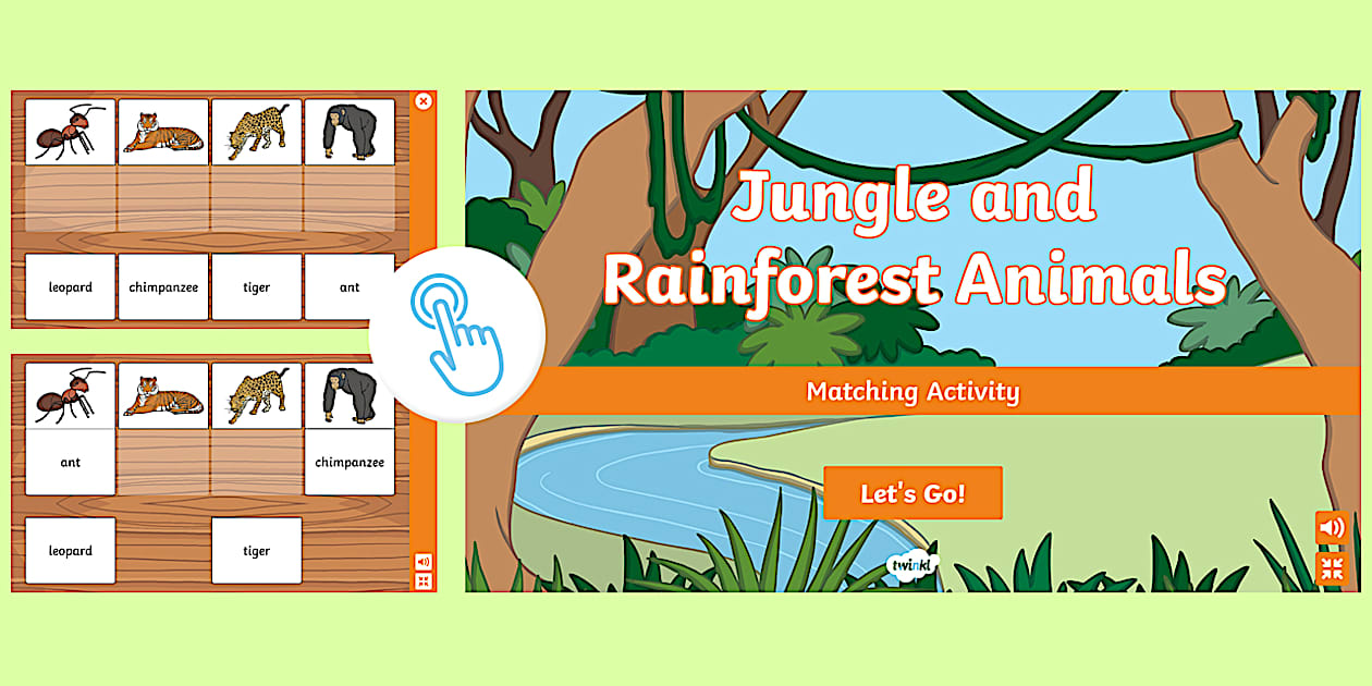 Interactive Jungle and Rainforest Animals Matching Activity