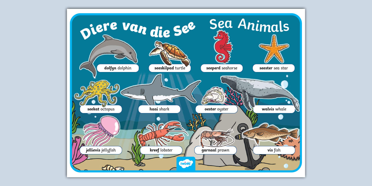 Diere van die See Woordmat - Twinkl Afrikaans - Twinkl
