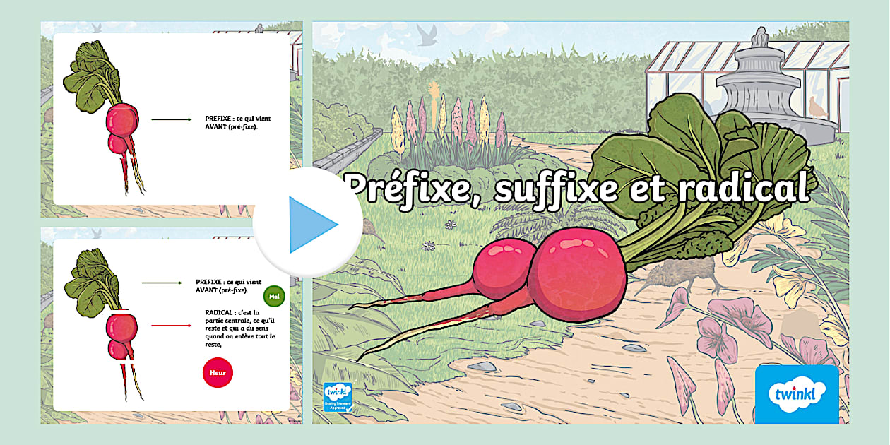 Préfixe, suffixe et radical - powerpoint (teacher made)