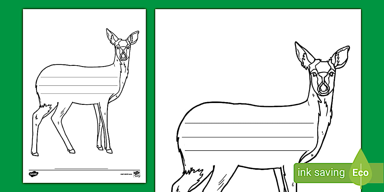 Doe Writing Template (teacher made) - Twinkl