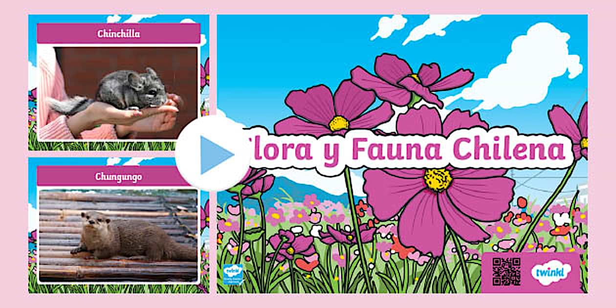 PPT de la flora y fauna de Chile - Primero Básico