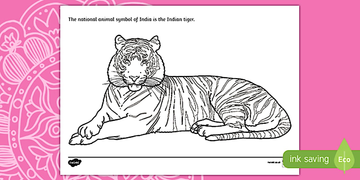 Indian Tiger Colouring Page - Twinkl