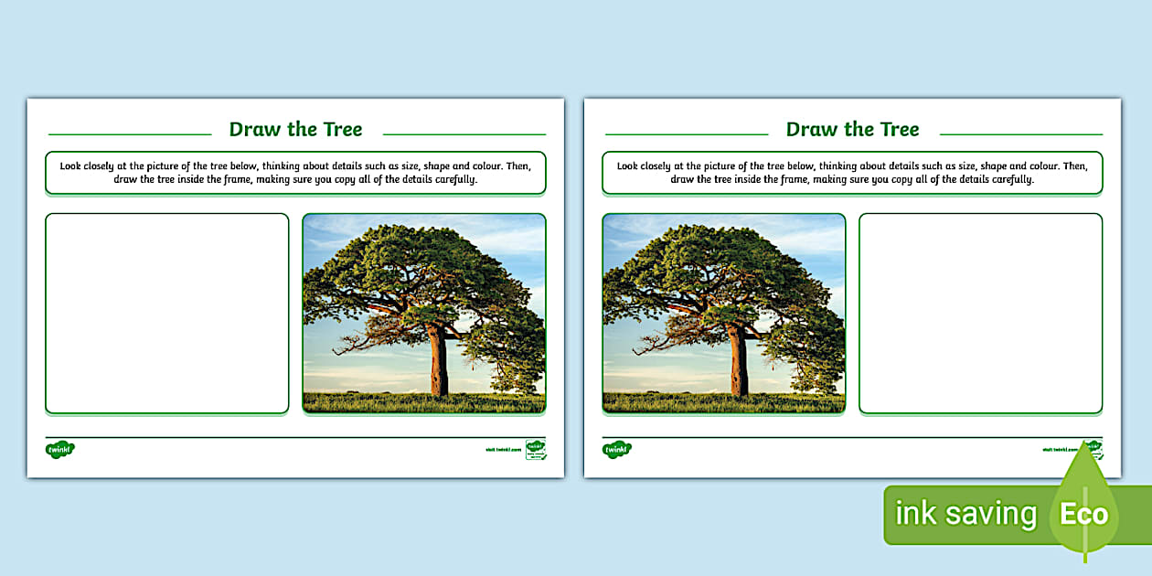 Draw the Tree Art Activity (teacher made) - Twinkl