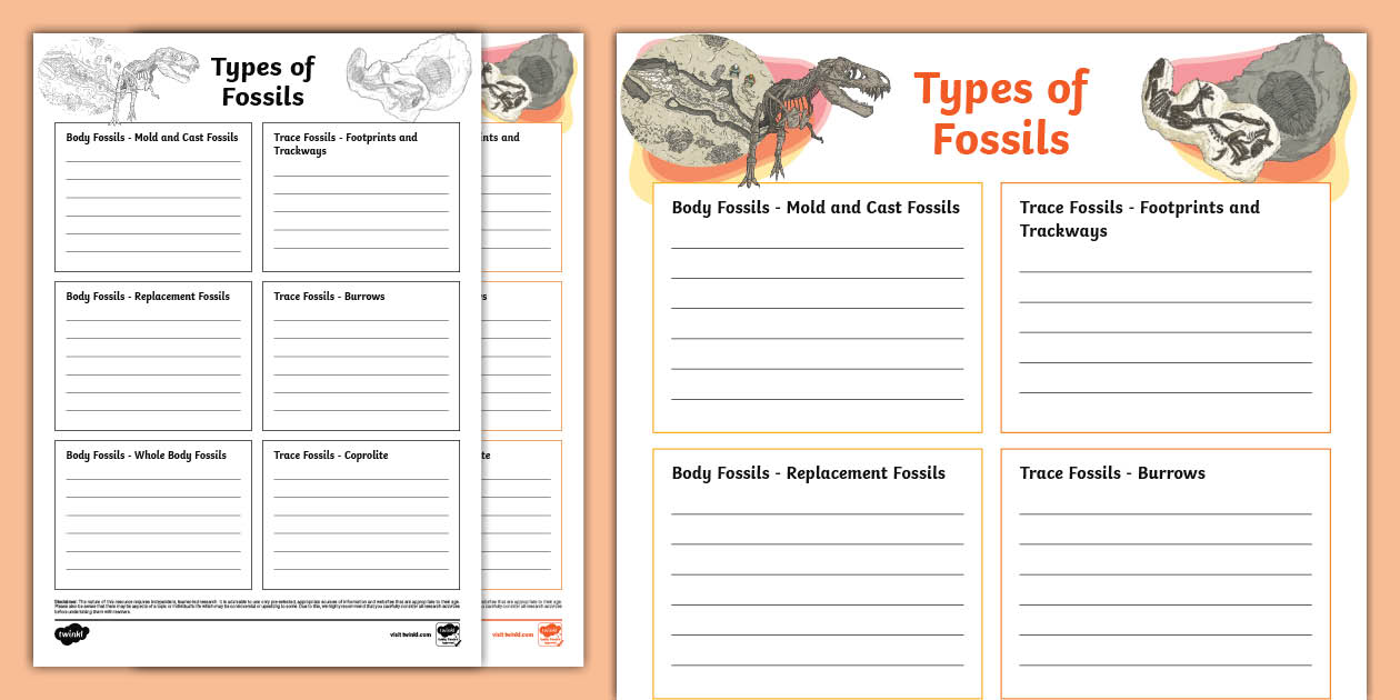 Types of Fossils Fact File Template - Twinkl