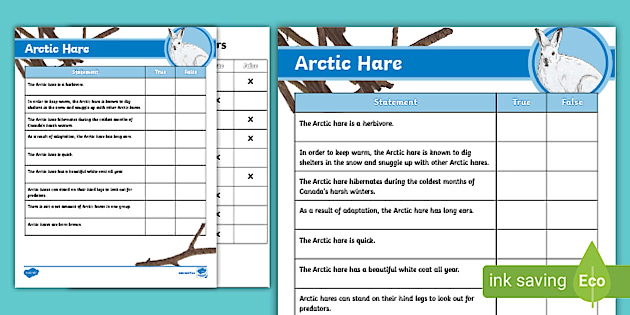 Arctic Hare True or False Activity - Grades 4-6 - Twinkl