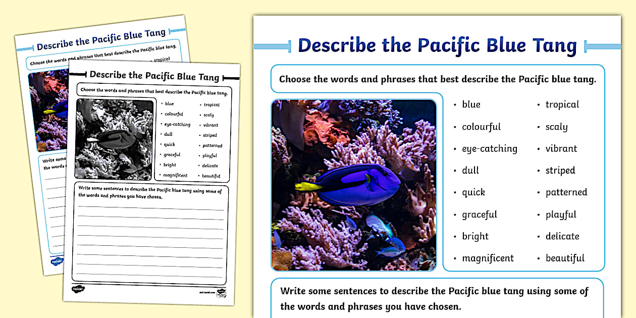 Describe the Pacific Blue Tang Worksheet (Teacher-Made)