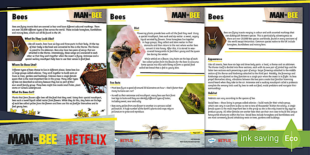 FREE! - Bee Fact Sheet | Man vs Bee | Netflix Resources