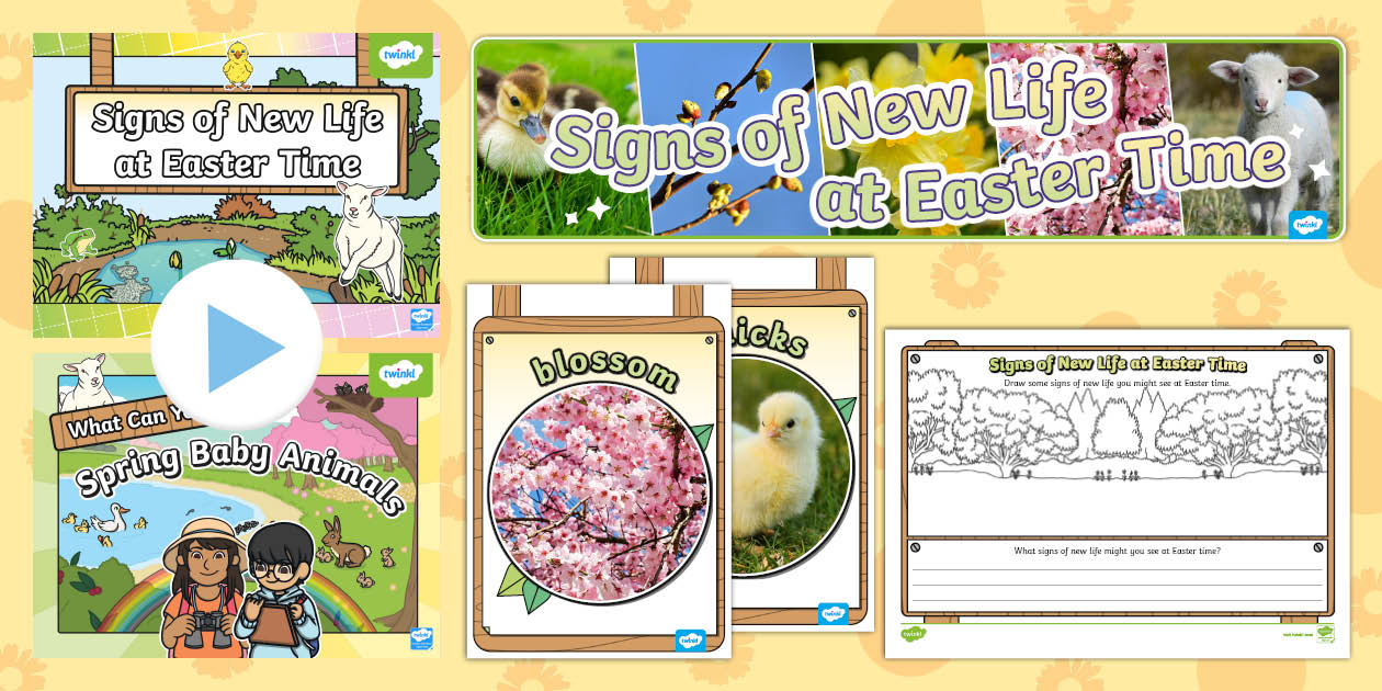 Signs of New Life at Easter Time Resource Pack - Twinkl