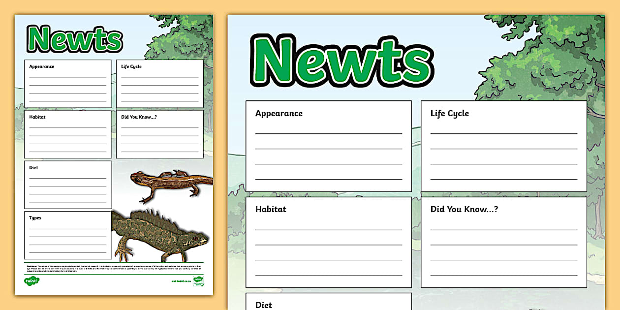 Newts Fact File Template - Twinkl Science (teacher made)