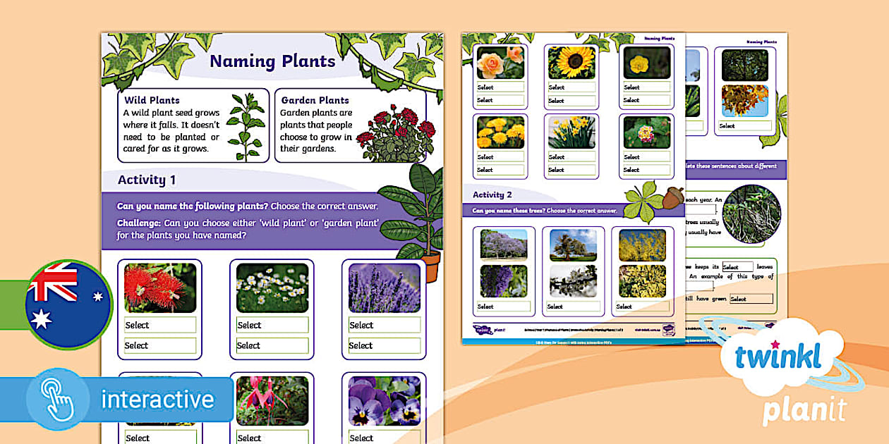 Year 1 Science Features of Plants Interactive Activity 1