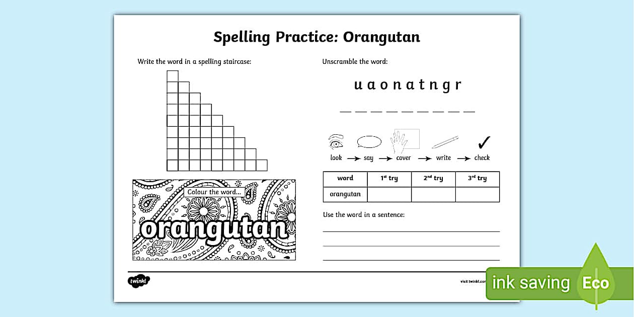 Orangutan Spelling Practice Worksheet (Teacher-Made)