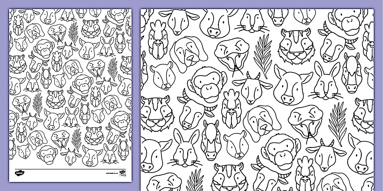 Animal Doodles Colouring Page (teacher made) - Twinkl