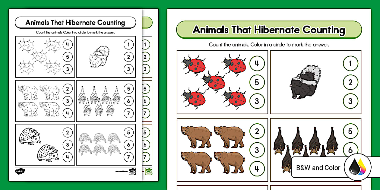 Animals That Hibernate Counting to 10 Worksheet - Twinkl