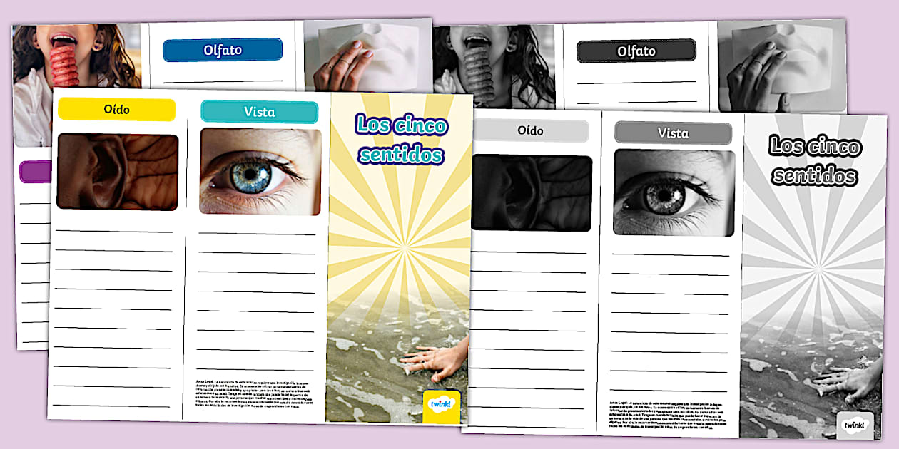 Este fantástico Folleto: Los cinco sentidos (teacher made)