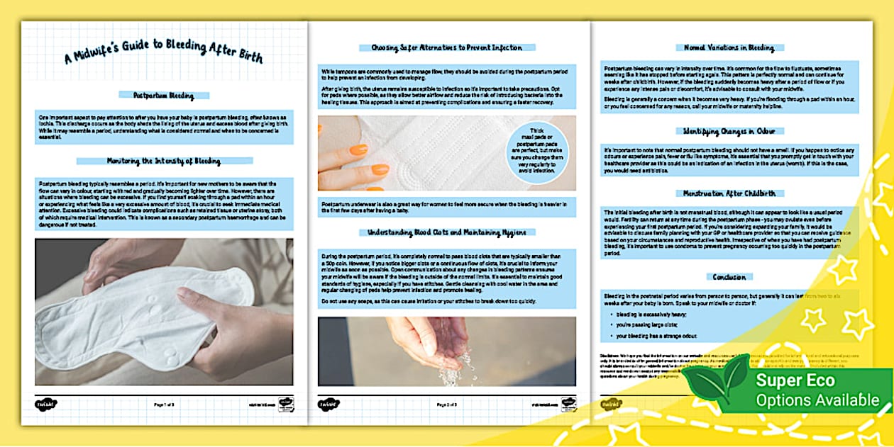 FREE! - A Midwife's Guide to Bleeding After Birth