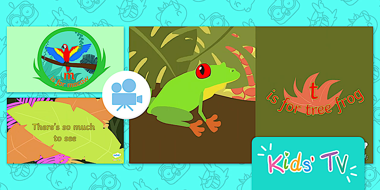 The Rainforest - Songs for Kids - Twinkl Kids' TV