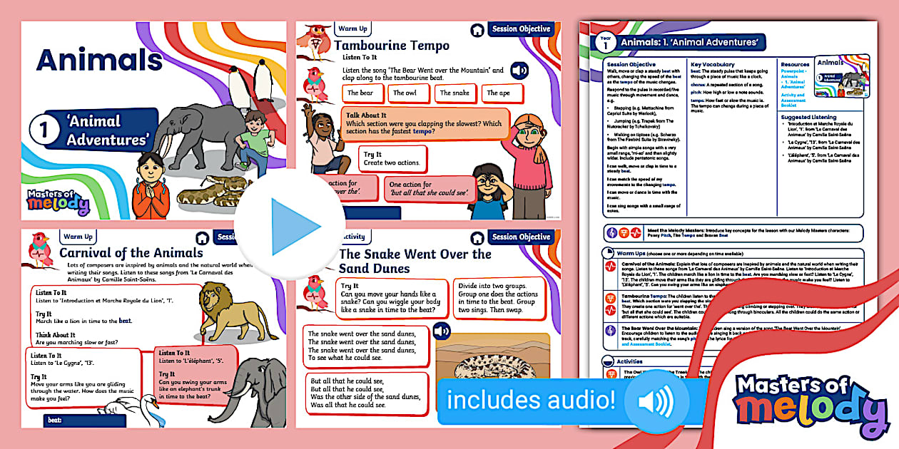 👉 Year 1 Animals - Session 1 (teacher made) - Twinkl