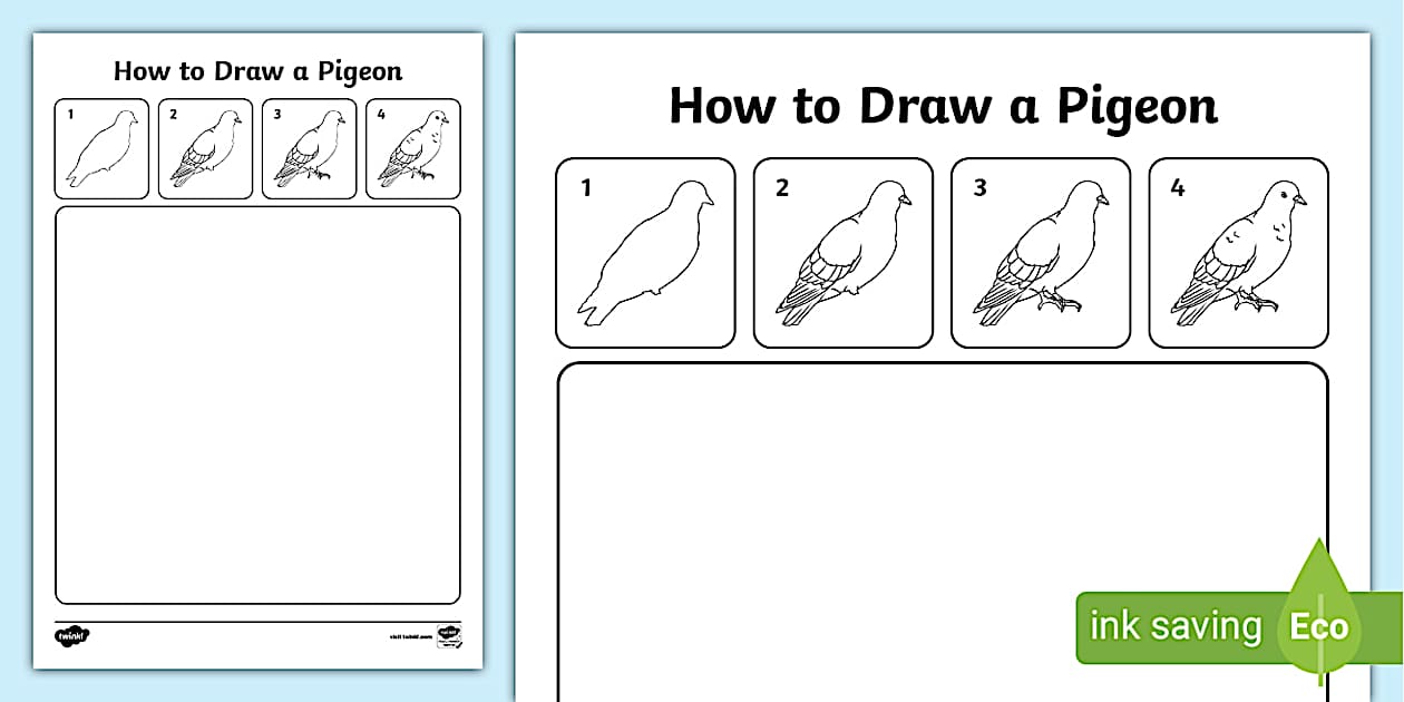 Learn How to Draw a Pigeon in Four Steps | Twinkl | KS1