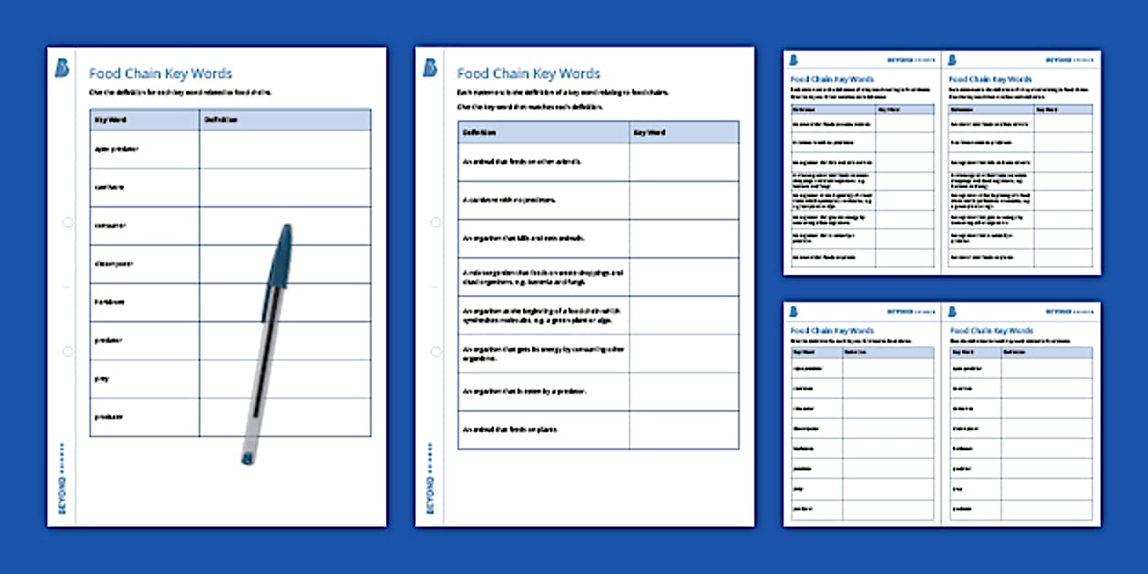 Food Chain Key Words Worksheet | KS3 Biology | Beyond
