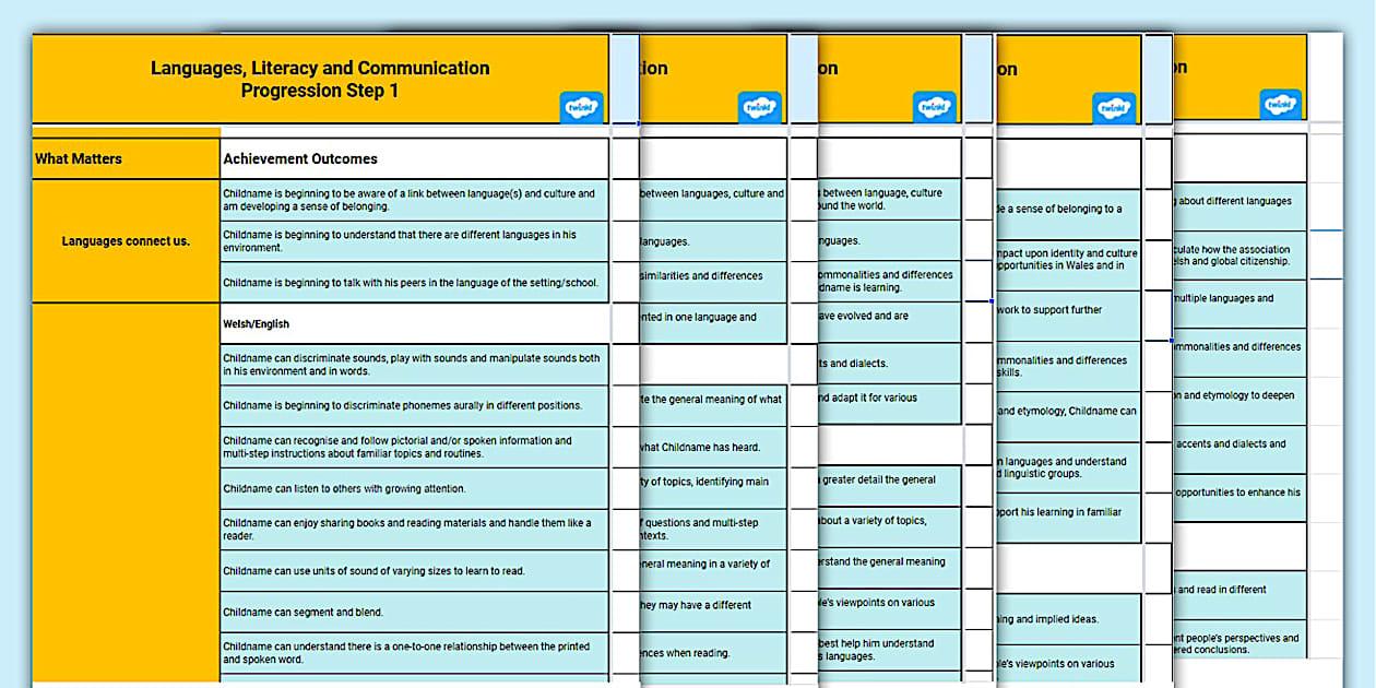 CfW: Report Writing Statements LLC | Great Twinkl Resources!