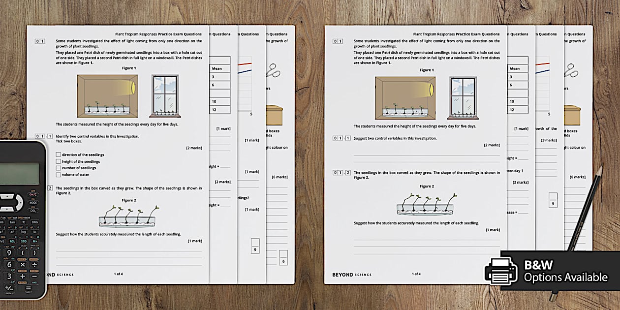 AQA Biology Plant Tropism Responses Practice Exam Questions
