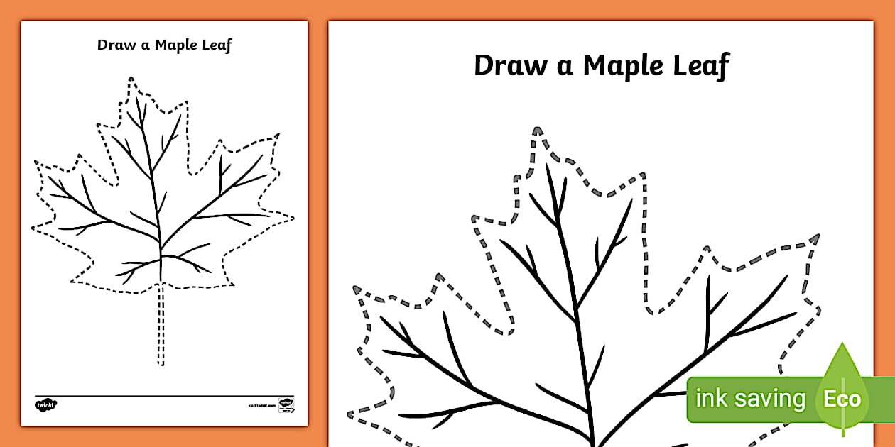 EYFS Draw a Maple Leaf Pencil Control Activity - Twinkl