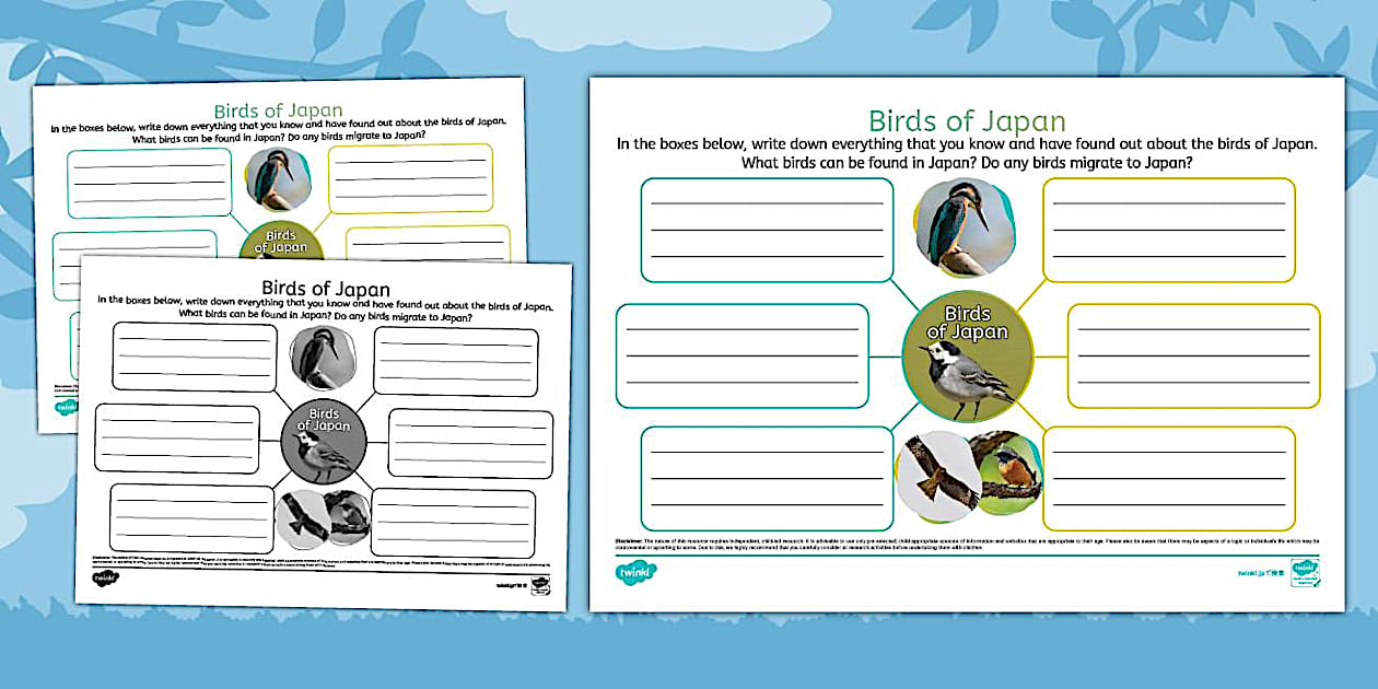 Birds of Japan Mind Map (teacher made) - Twinkl