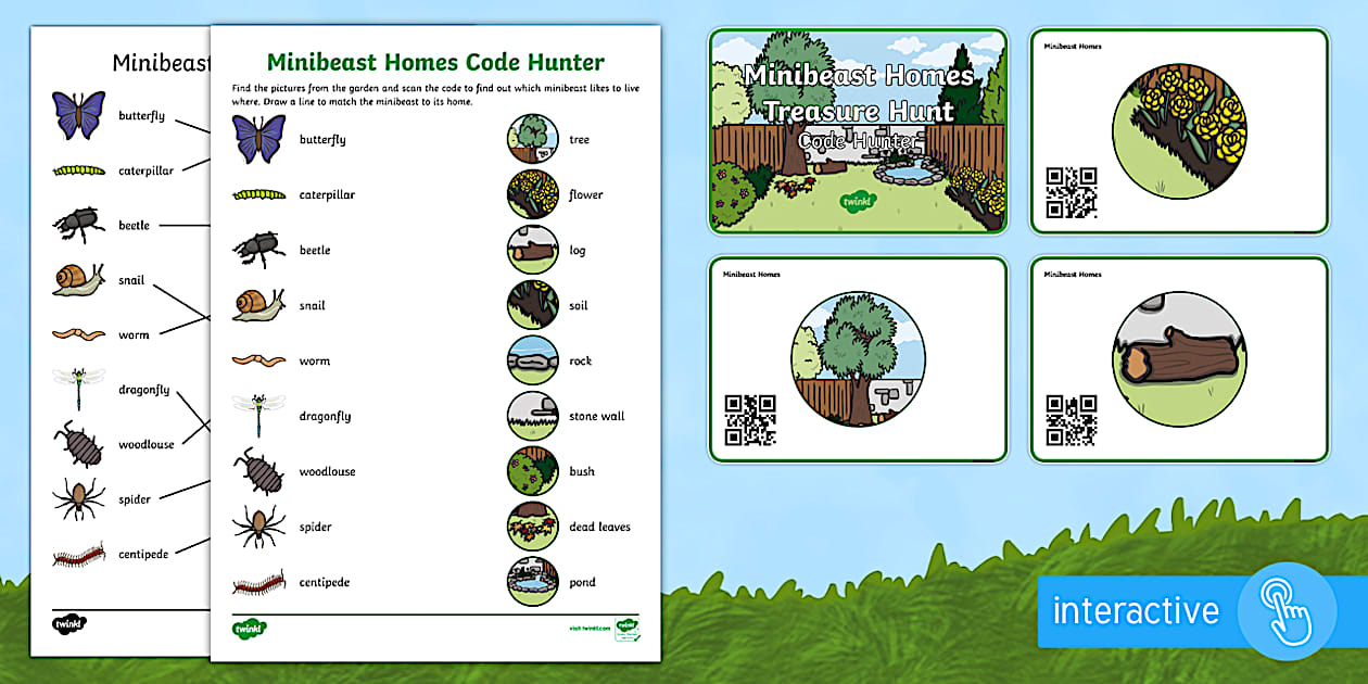 Minibeast Homes Code Hunter (Teacher-Made) - Twinkl