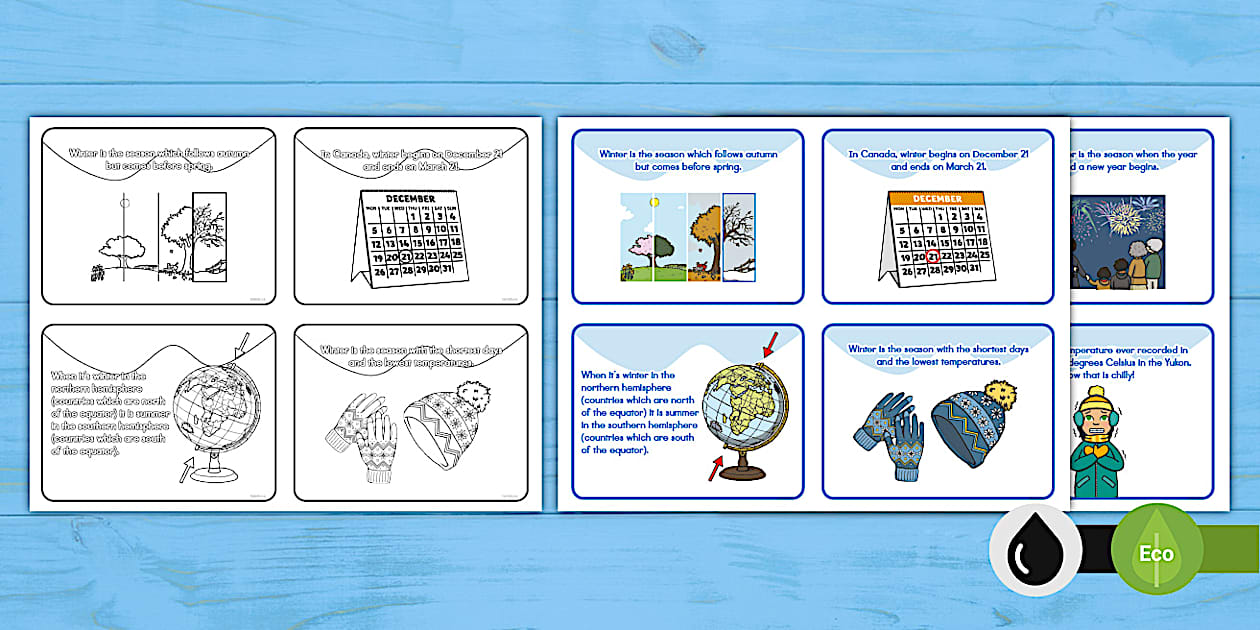 Winter Fact Cards (teacher made) - Twinkl