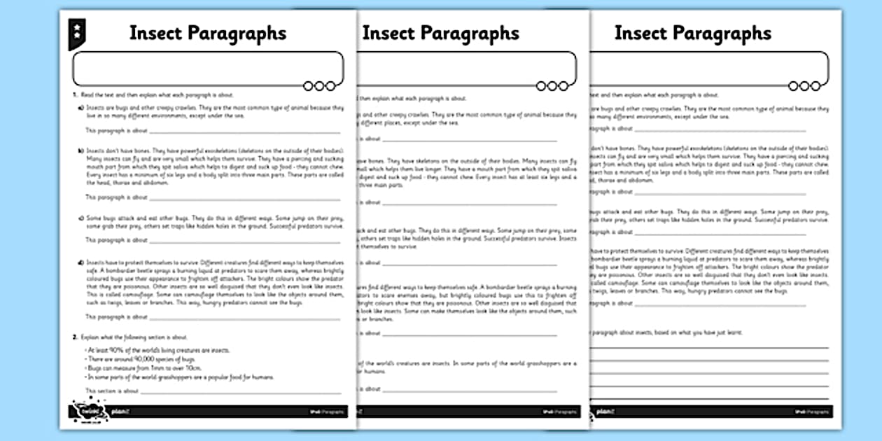 Editable Paragraphs - Insects Differentiated Worksheet Pack