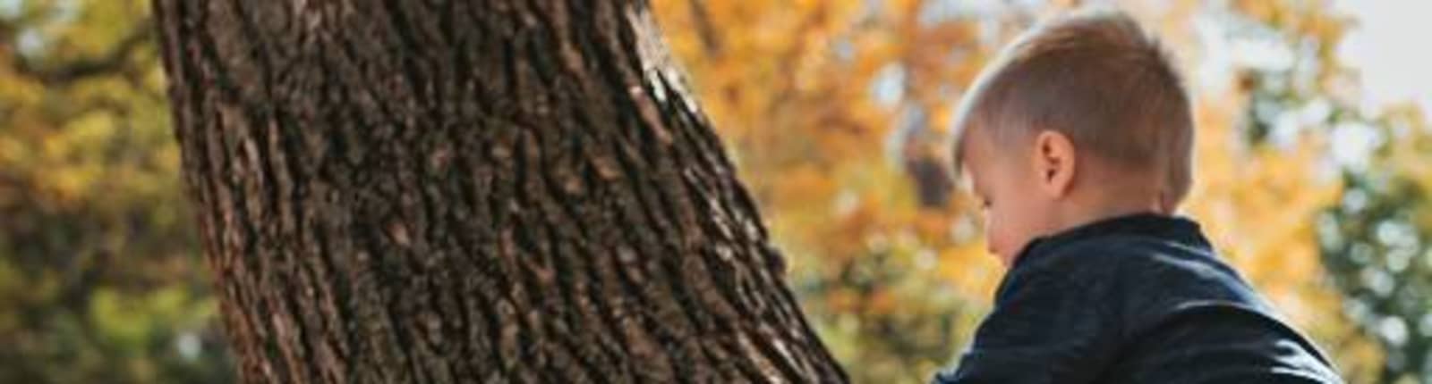 Woodland nature nursery Little Wild Tribe Education wins World’s Happiest