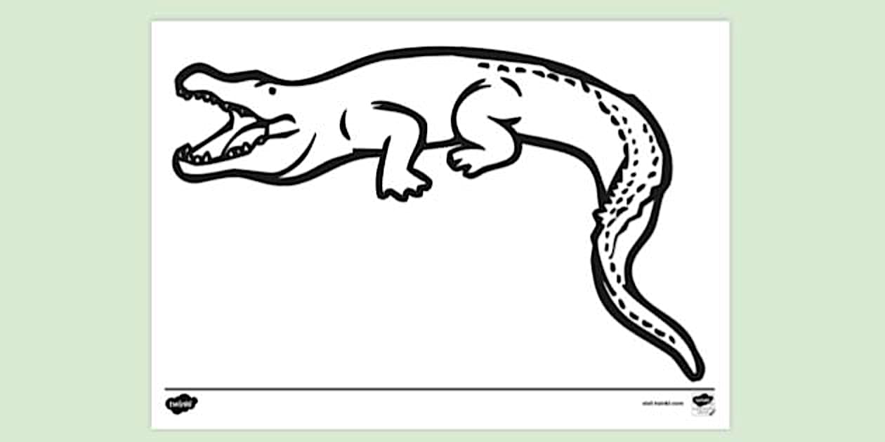 Crocodile Zoo Map Icon Colouring | Colouring Sheets - Twinkl