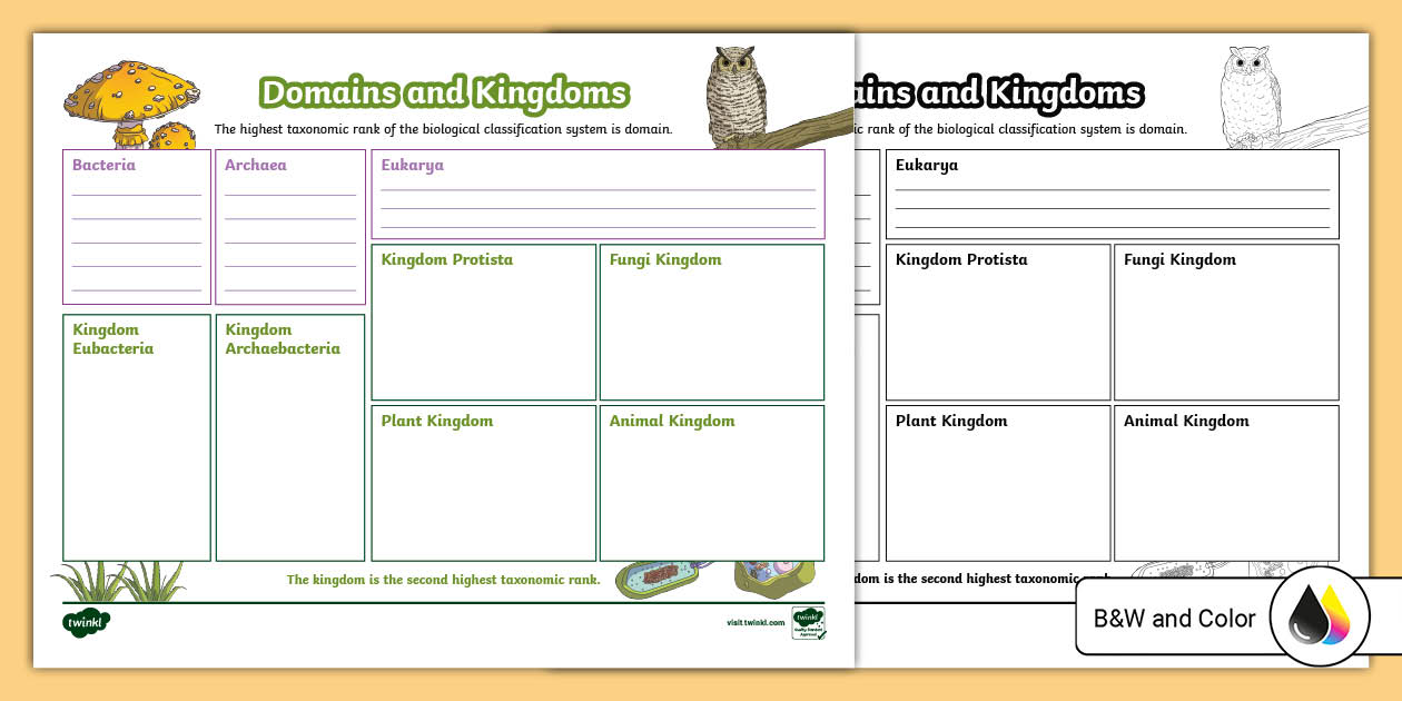 Domains and Kingdoms Taxonomy Graphic Organizer for 6th-8th Grade