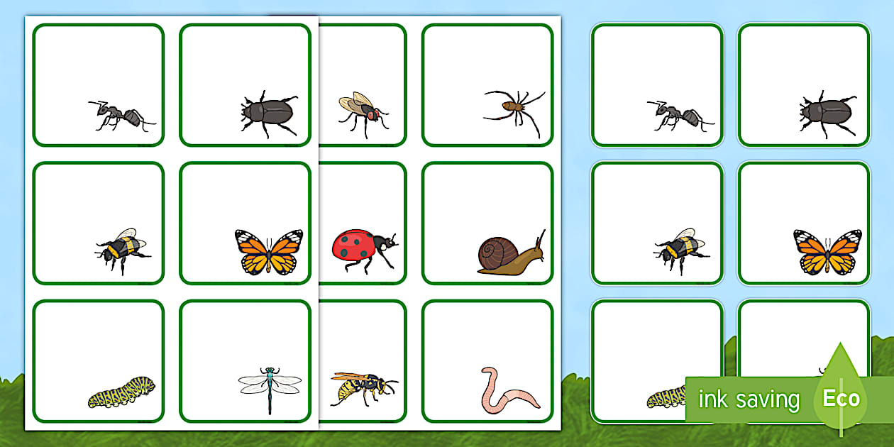 Insect Locker Labels (teacher made) - Twinkl