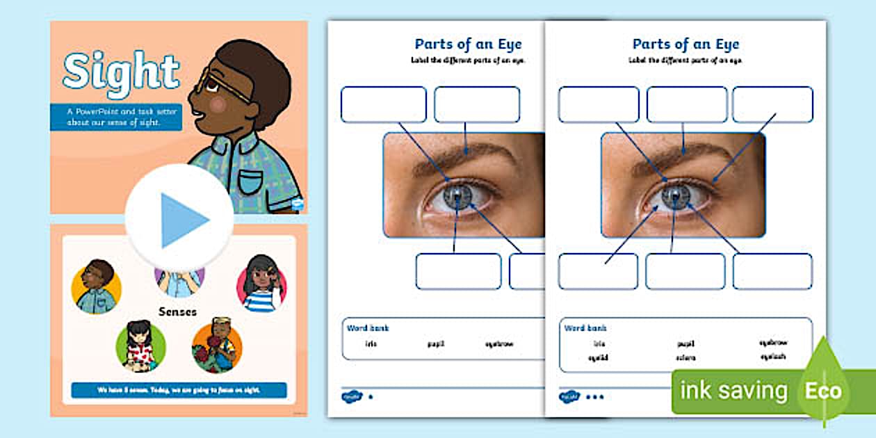 KS1 Science Senses Sight PowerPoint (teacher made) - Twinkl