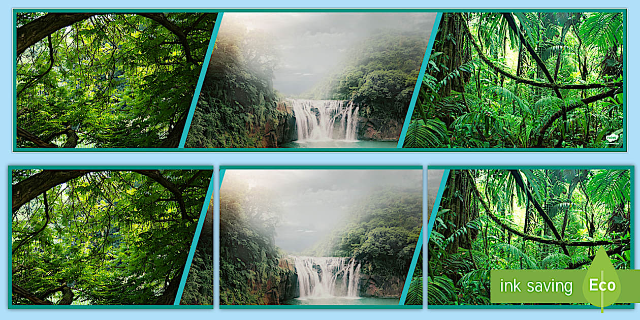 Tropical Rainforest Habitat Photo Small World Background