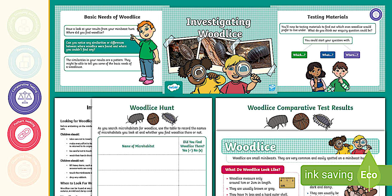 Woodlice Experiment | Twinkl | Science Enquiry | KS1