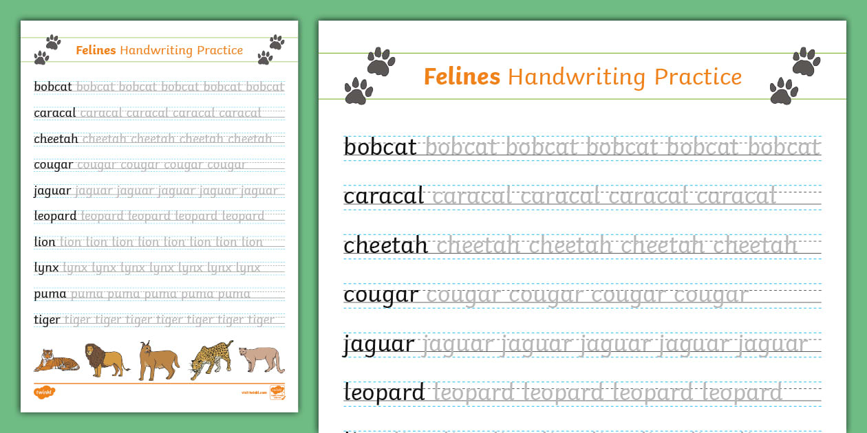 * NEW * Felines Handwriting Practice Worksheet - Twinkl