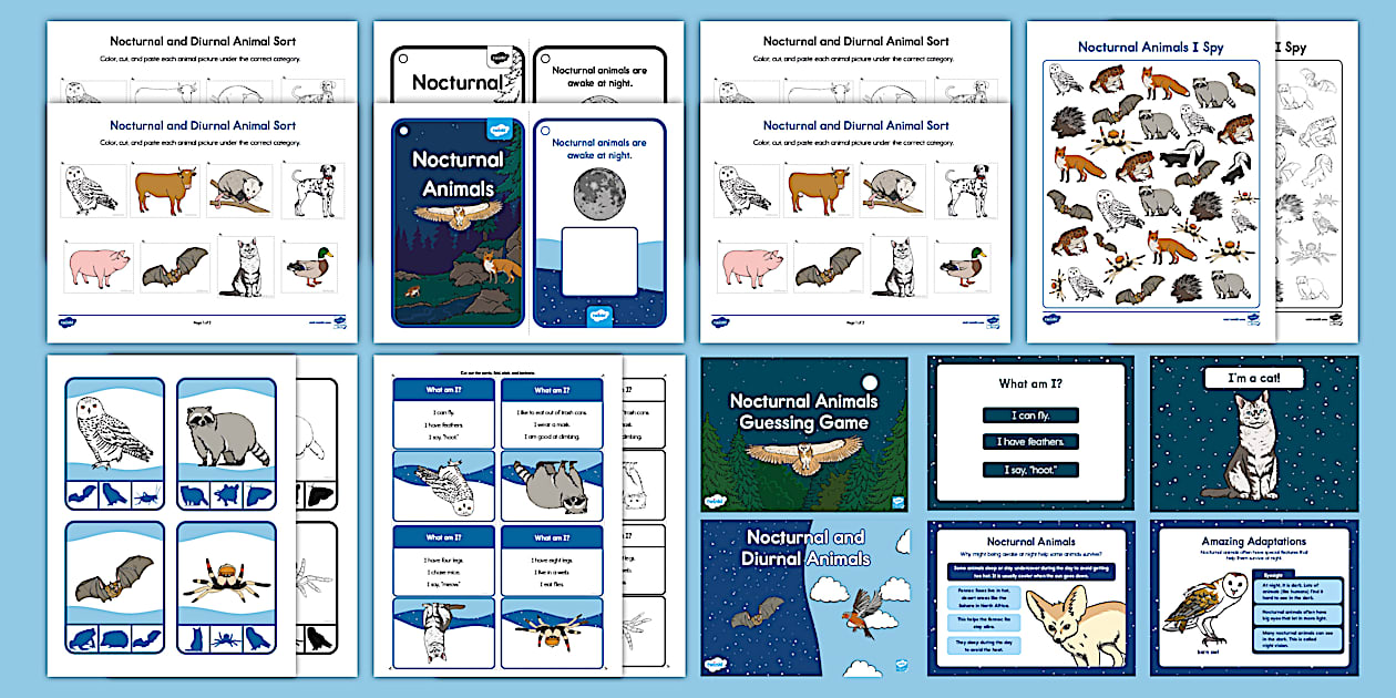 Nocturnal Animals Activity Pack for K-2nd Grade
