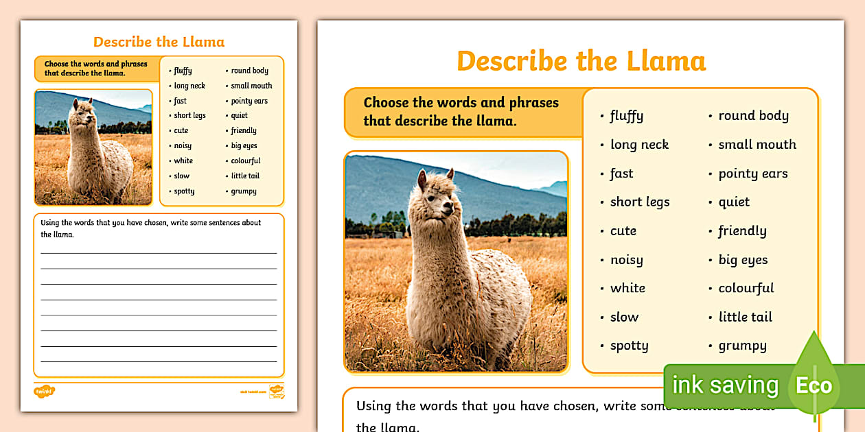 Describe the Llama Writing Activity,llama - Twinkl