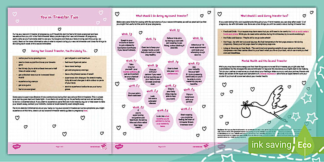 You in Trimester Two (teacher made) - Twinkl