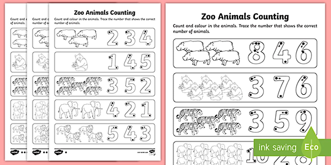 QLD Zoo Animals Count and Write Worksheet - Twinkl