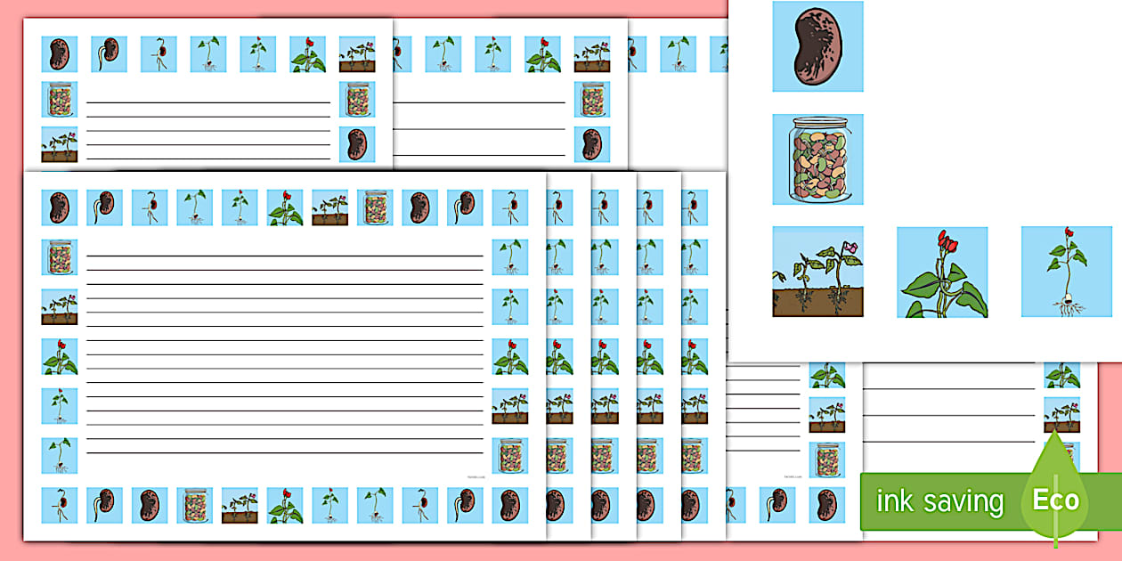 Editable Bean Life Cycle Page Borders (Hecho por educadores)